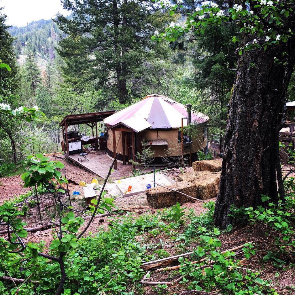 Esther Emery | What Falls From the Sky – Susie Davis