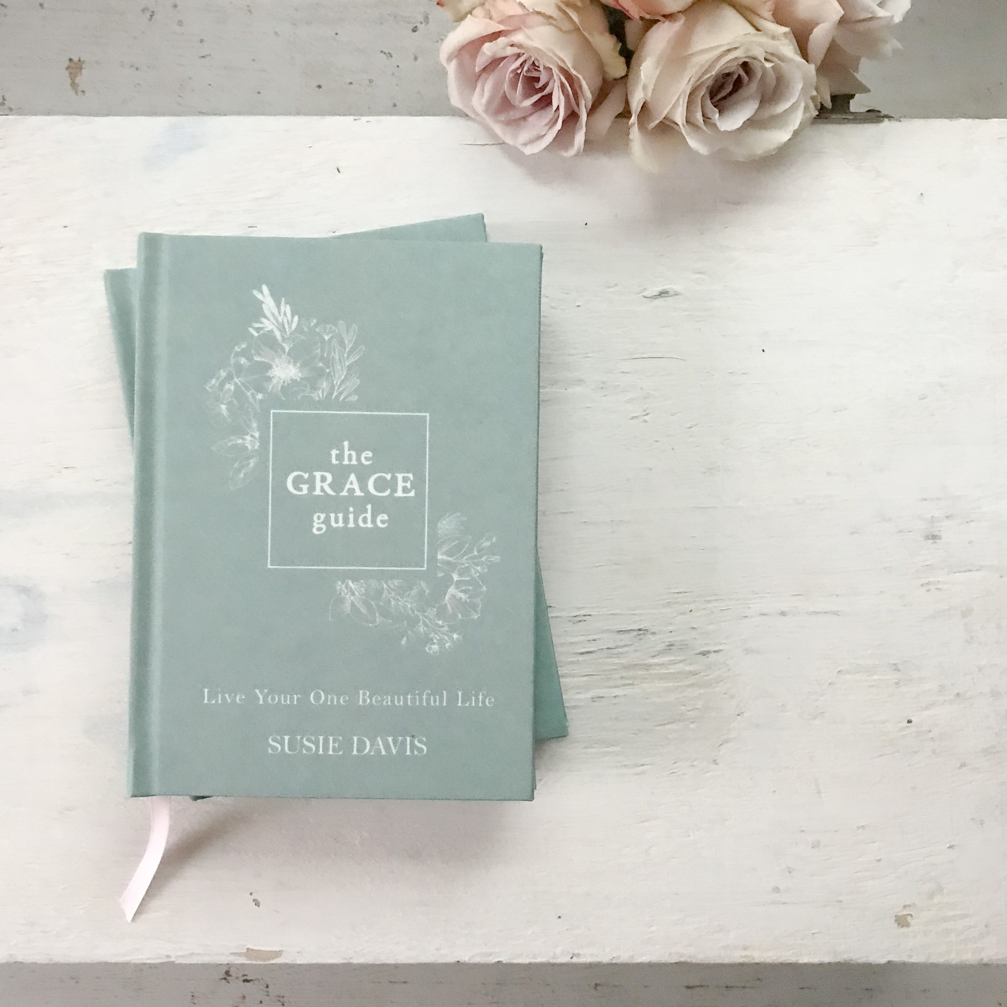 Look on the Bright Side | Melanie Shankle – Susie Davis